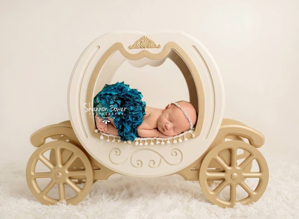 Princess Carriage Prop DOUBLE SIDED Carriage Prop Princess Carriage Prop DOUBLE SIDED Carriage Prop