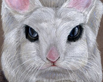 Netherland dwarf | Etsy