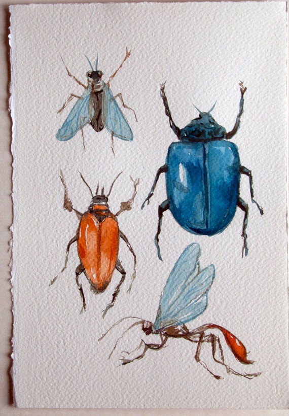Insects and bugs watercolor painting. Nature illustration.