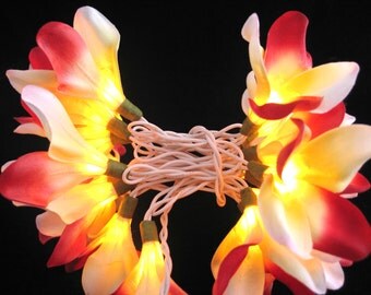 20 bulbs flower string light home decoration