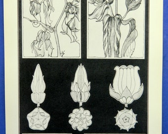 Popular items for John Gilbert on Etsy