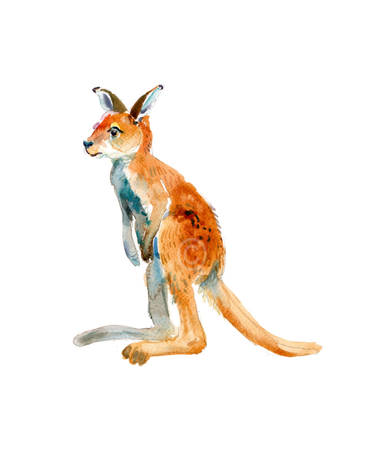 Baby Kangaroo Watercolor Painting Animal Painting Art
