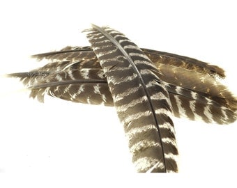 Turkey wing feathers | Etsy
