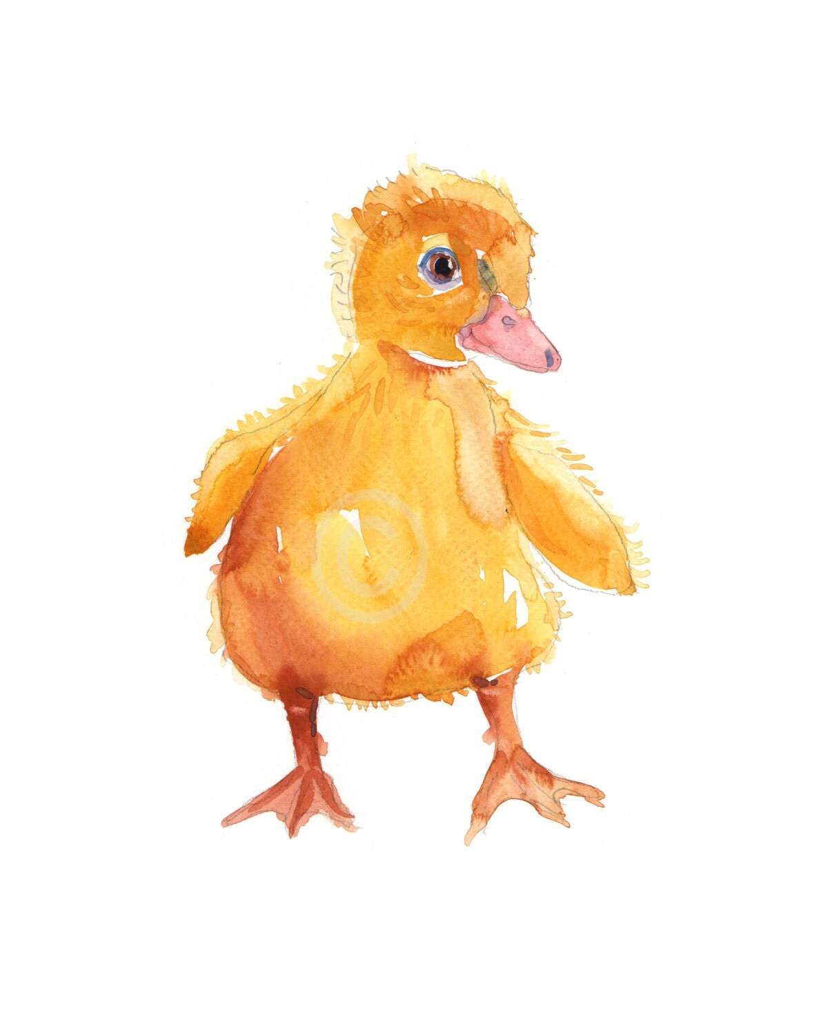 Duckling Baby Duck Watercolor painting Animal Art