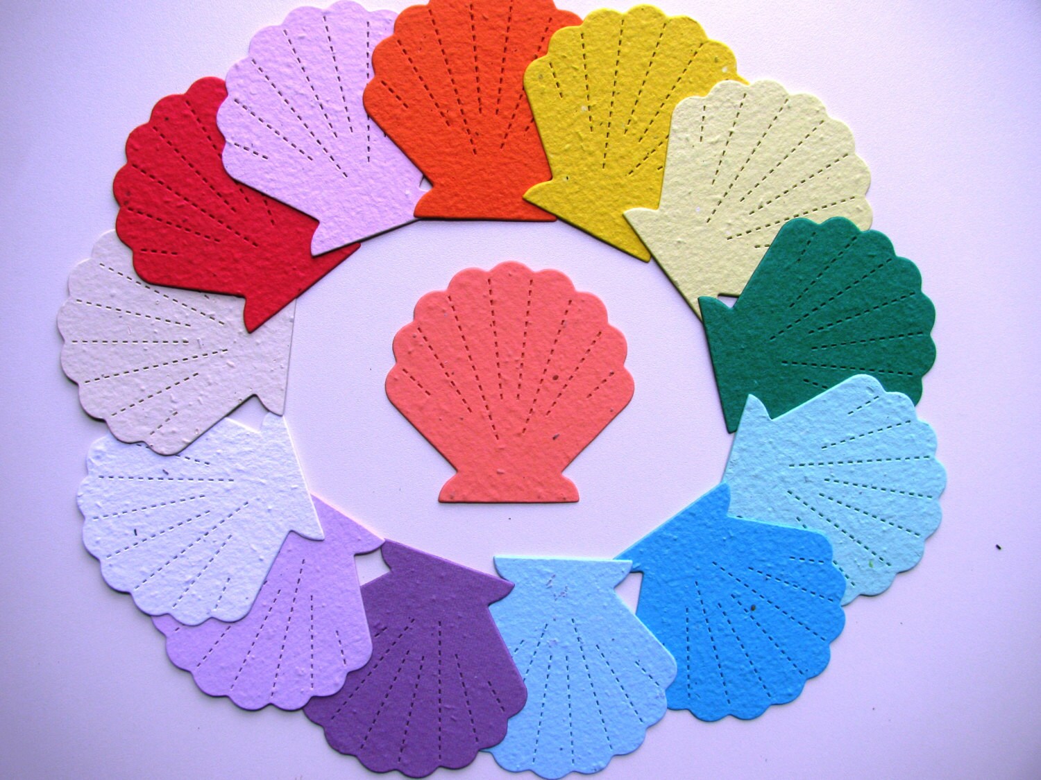 25 Seed Paper Seashells
