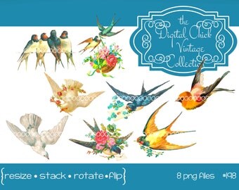 Unique bird digital clipart related items | Etsy