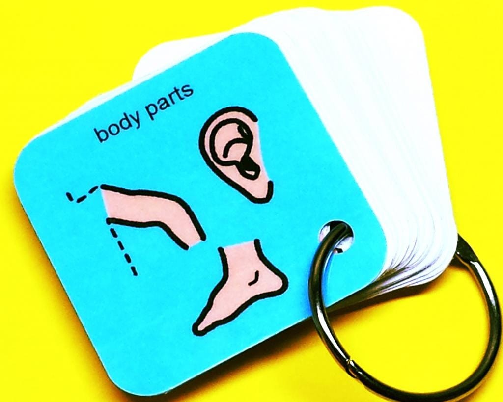 school word rings – rachelkerstetter