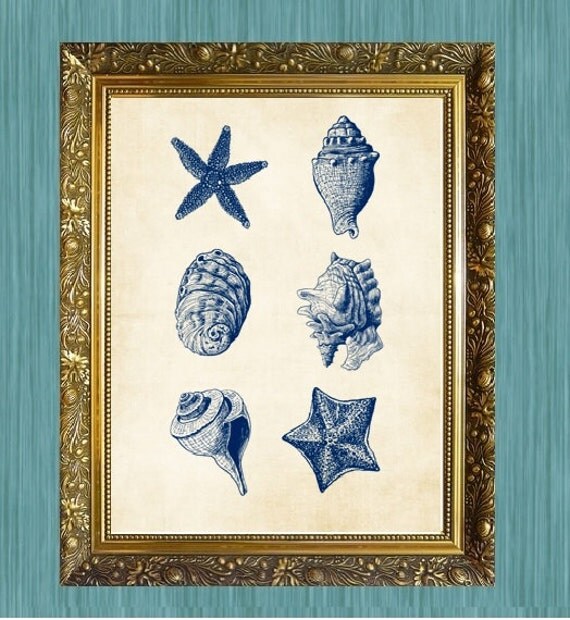 Blue Sea Shells Art Print Beach Art Print by HamiltonHousePrints2