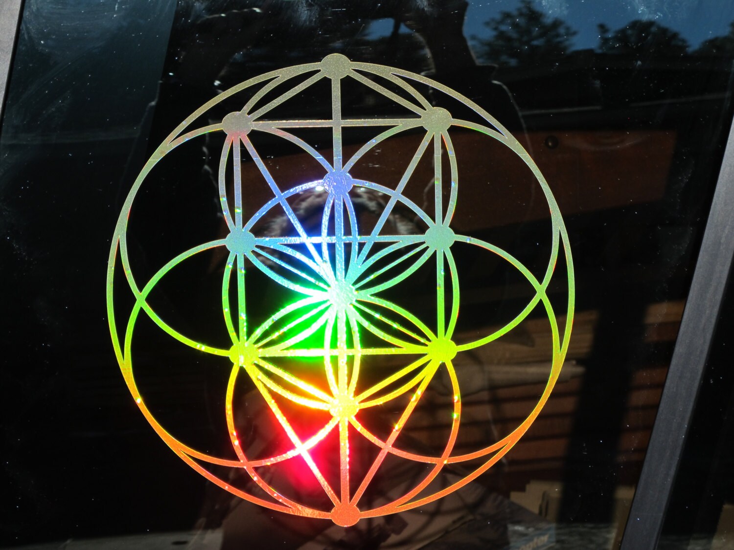 Seed of Tree of Life Sticker/Decal Large Prismatic Rainbow