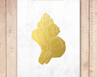 Popular items for seashell art print on Etsy