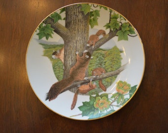 Popular items for squirrel plate on Etsy