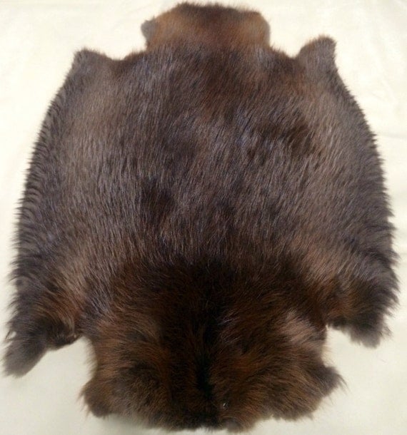 Beaver Pelt Natural Medium Size