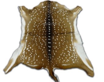 Popular items for axis deer hide on Etsy