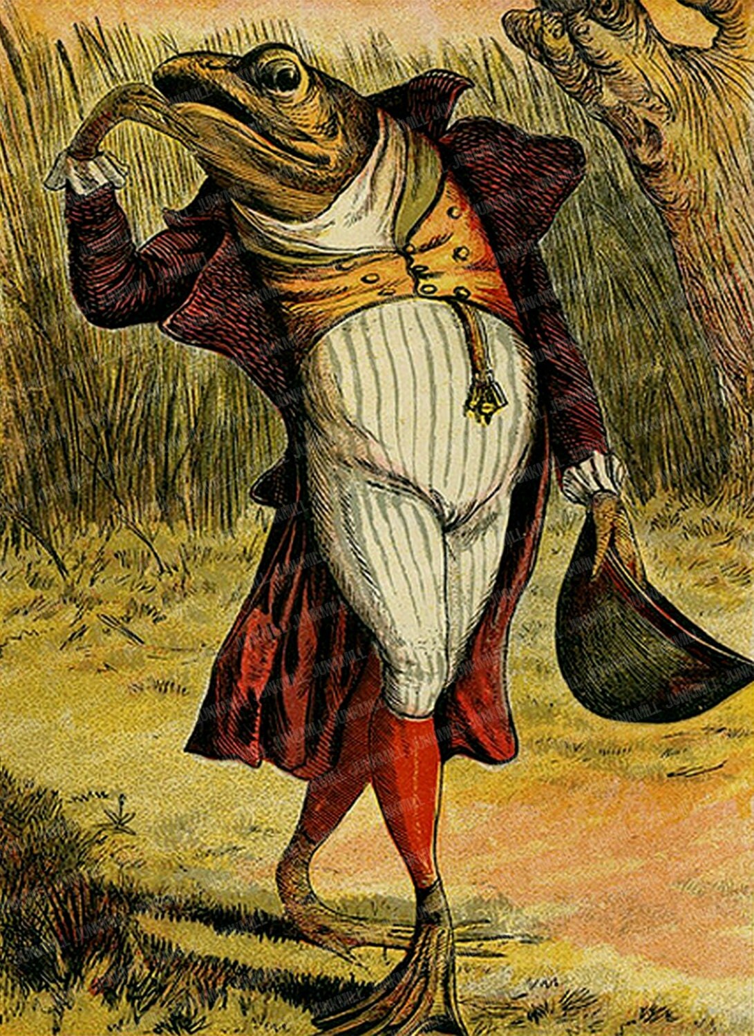 GENTLEMAN FROG Large Digital Printable Image Vintage Frog