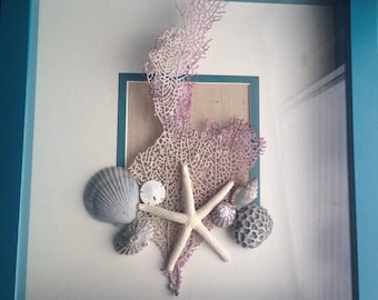 Sealife Shadow box Art Fan Coral and Shell Display nautical beach decor