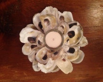 Popular items for shell candle holder on Etsy