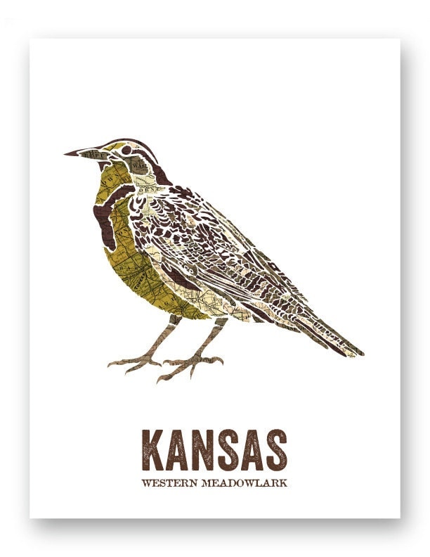 Kansas State Bird Nature art Outdoor art Vintage by WoodenPencilCo