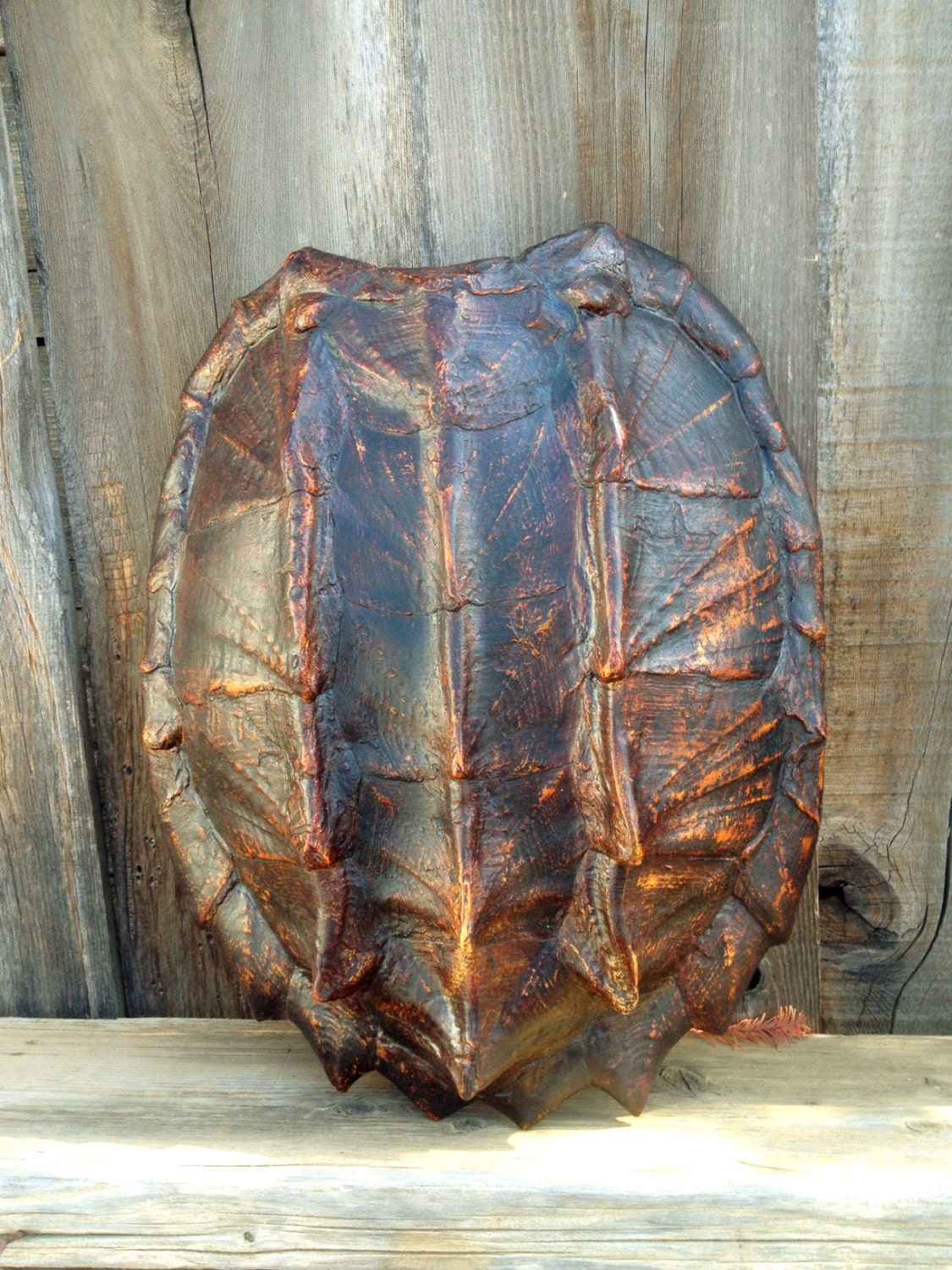 Alligator Snapping Turtle Shell replica by ChelShell on Etsy
