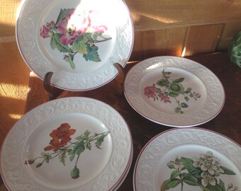 Vintage spode | Etsy