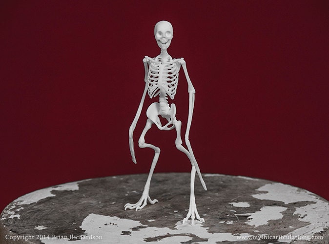 Harpy Skeleton 3D Print Taxidermy Sculpture