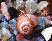 Unique moon snail related items | Etsy