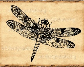Dragonfly svg | Etsy