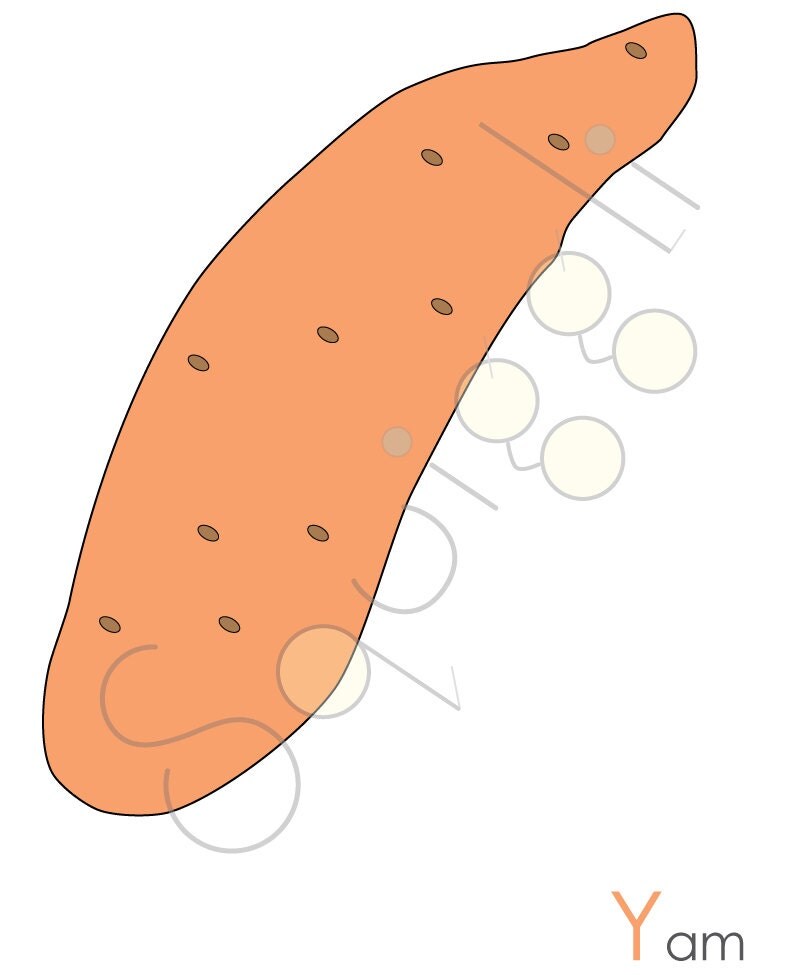 Y is for Yam Illustration and coloring page by Squiggli on Etsy