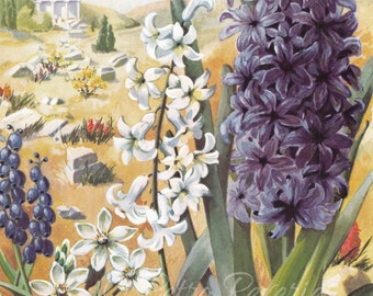 1954 Thornton Utz Illustration The Florida by RetroReveries