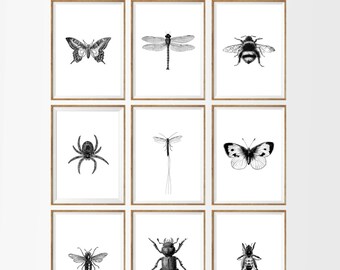 Popular items for insect posters on Etsy