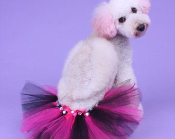 Popular items for dog in tutu on Etsy