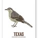 Texas State Bird Nature art Outdoor art Vintage by WoodenPencilCo