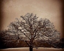 Popular items for sepia tree on Etsy