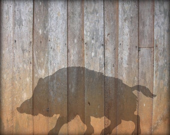 Popular items for razorback hogs on Etsy