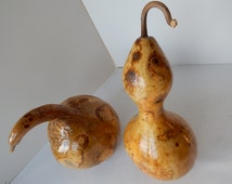 Popular items for dried gourds on Etsy