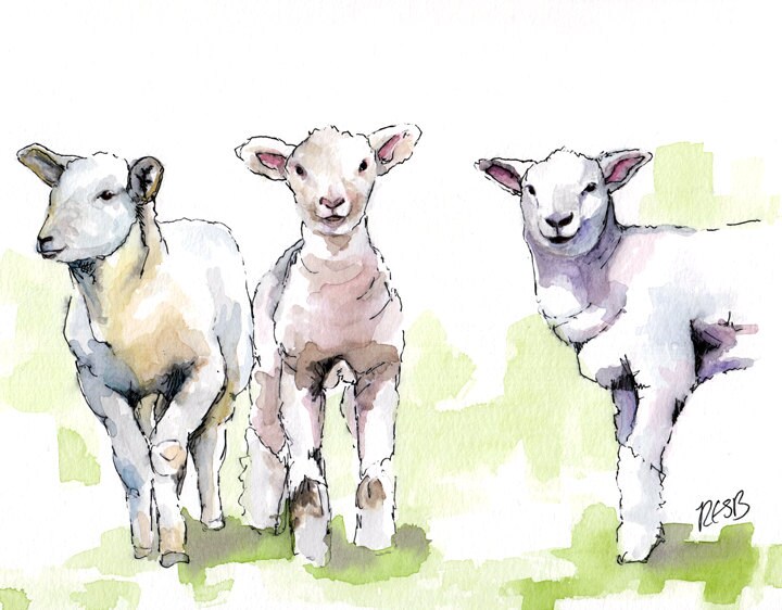 Lamb Painting Print from Original by TheColorfulCatStudio on Etsy