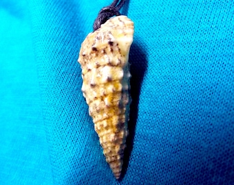 Fine Silver Oyster Shell Pendant and Necklace Seashell Lover