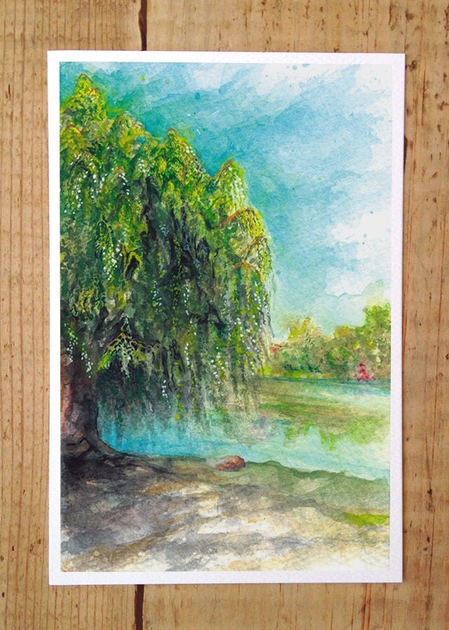 Willow Tree Postcard / Toronto Art / Toronto Themed Postcards