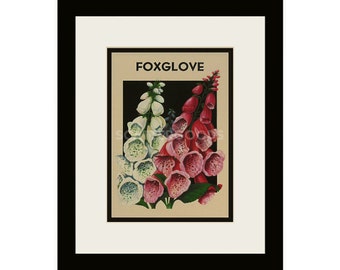 Foxglove flower | Etsy