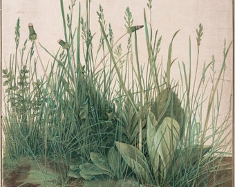 Albrecht dürer | Etsy