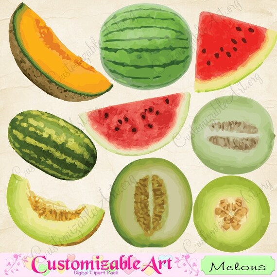 Melon Clipart Digital Melons Clip Art by CustomizableArt on Etsy