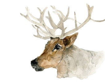 Reindeer portrait | Etsy