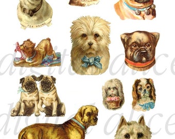 Unique victorian dogs related items | Etsy