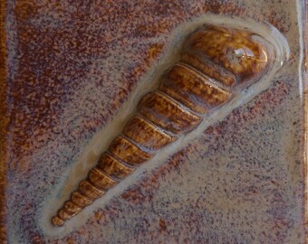 Popular items for auger shells on Etsy