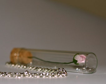 Glass test tube | Etsy