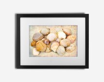 Popular items for seashell wall decor on Etsy