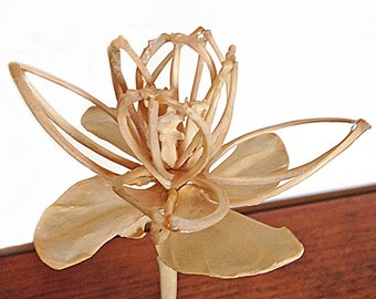 Popular items for bone flowers on Etsy