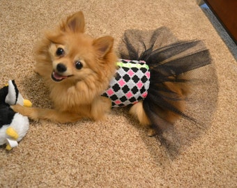 Popular items for dog in tutu on Etsy