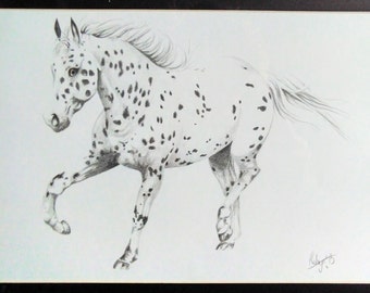 Appaloosa horse | Etsy