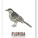 Florida State Bird Nature art Outdoor art Vintage Map art