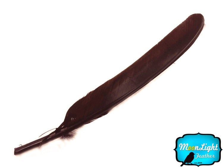Raven Wing Feathers 1/4 lb BROWN Turkey by MoonlightFeatherInc